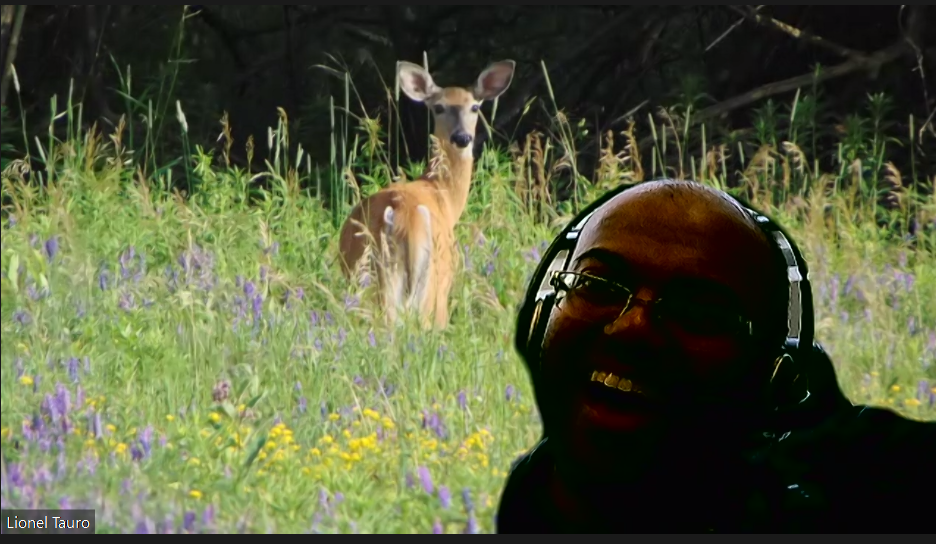 5 Questions with Lionel Tauro – Mat4Site